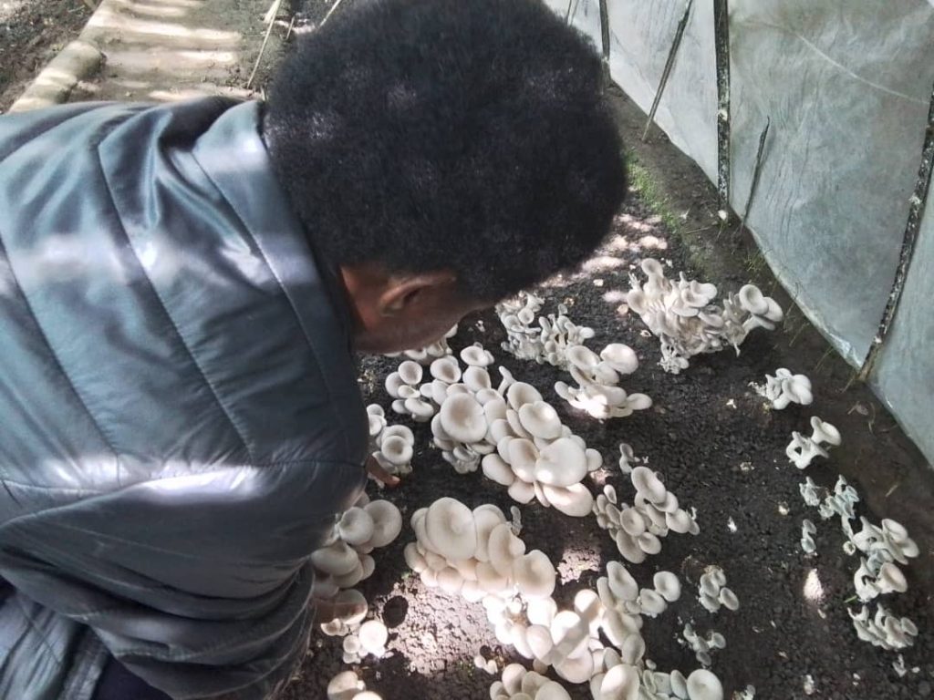 Mercy Money and People Power - Mercy Works